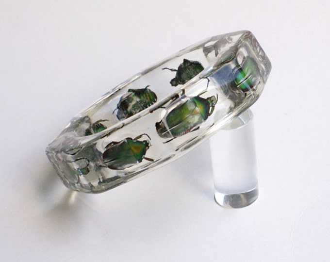 Clear Lucite Bracelet With Real Bugs - Etsy