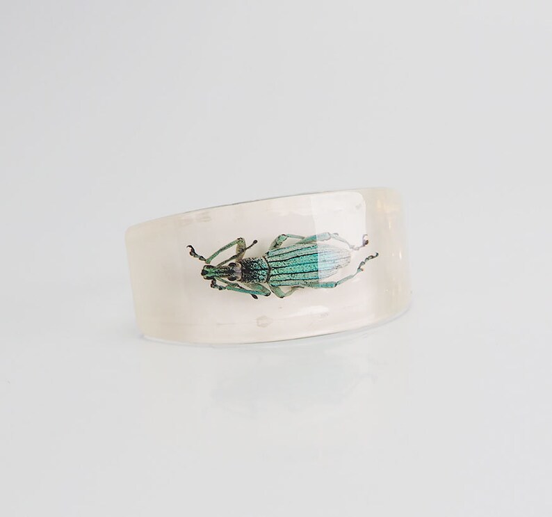 Gorgeous White Lucite Ring With Real Iridescent Insect - Etsy