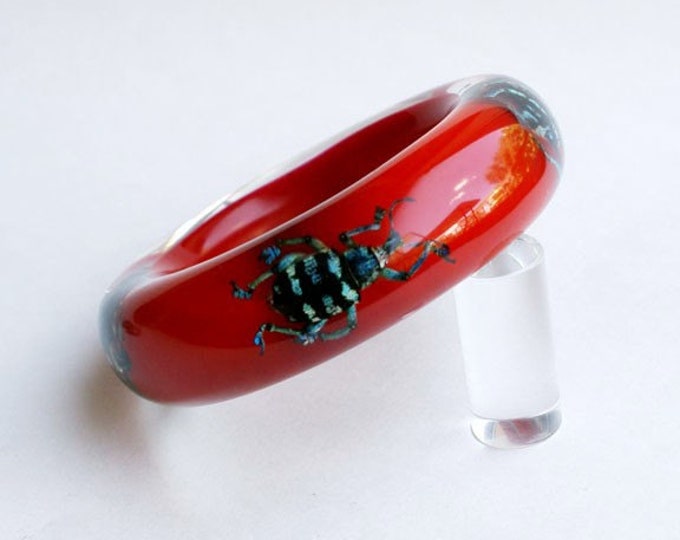 Red Lucite Bracelet With Real Insects - Etsy