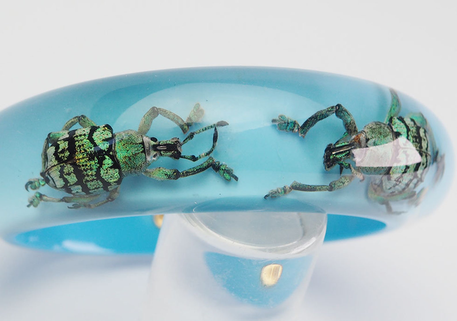 Blue Lucite Bracelet With Two Real Exotic Insects - Etsy