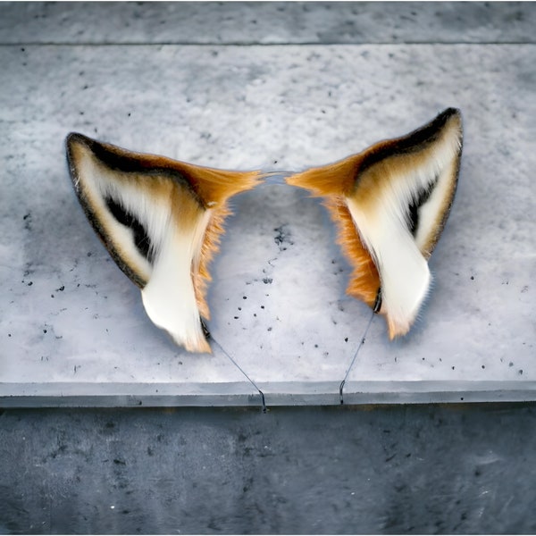 Realistic Ears - Etsy
