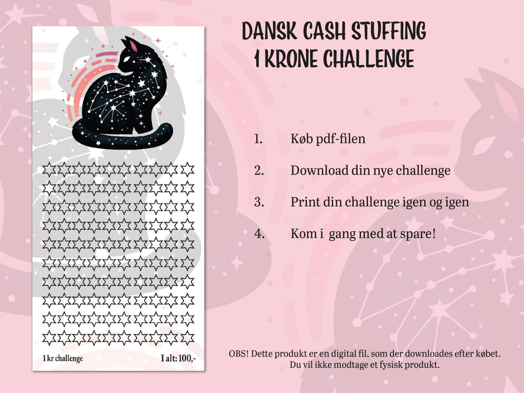 Dansk Cash Stuffing 1 Krone Challenge - Etsy