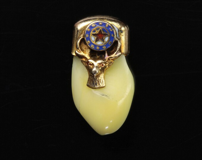 Vintage BPOE 10K Gold and Elk Tooth Lapel Pin, Talisman, Statement ...