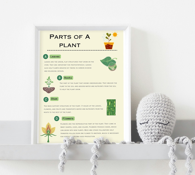Educational Parts of a Plant Digital Poster - Botanical Print With ...