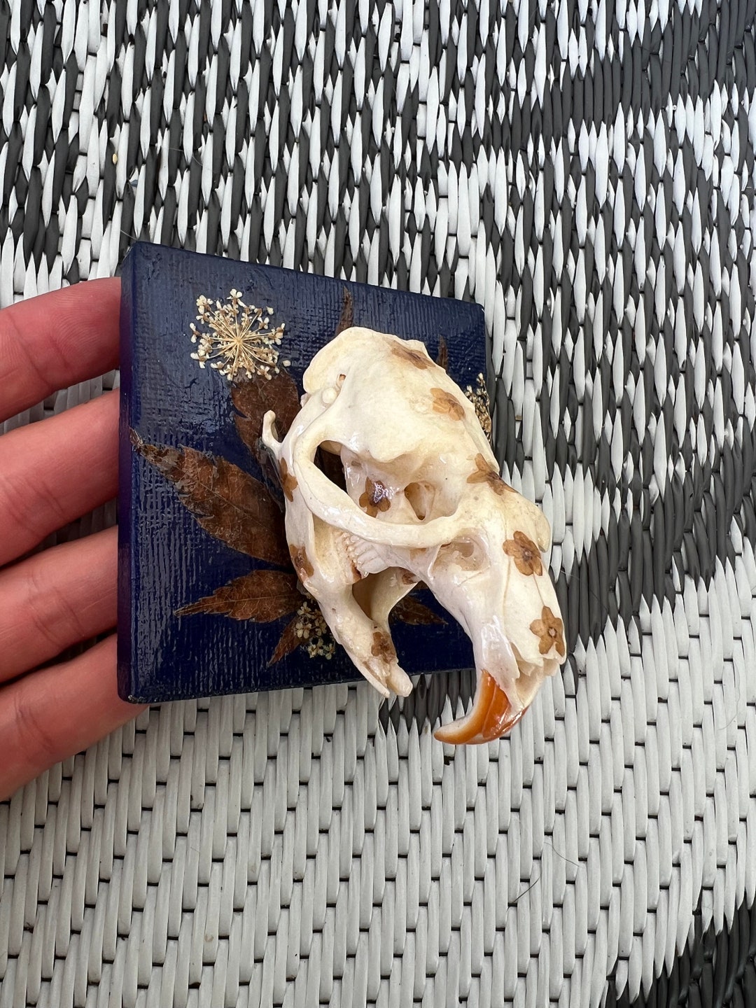 Muskrat Skull and Flowers - Etsy
