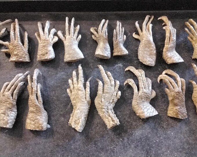 Lizard Foot for 2 - Etsy