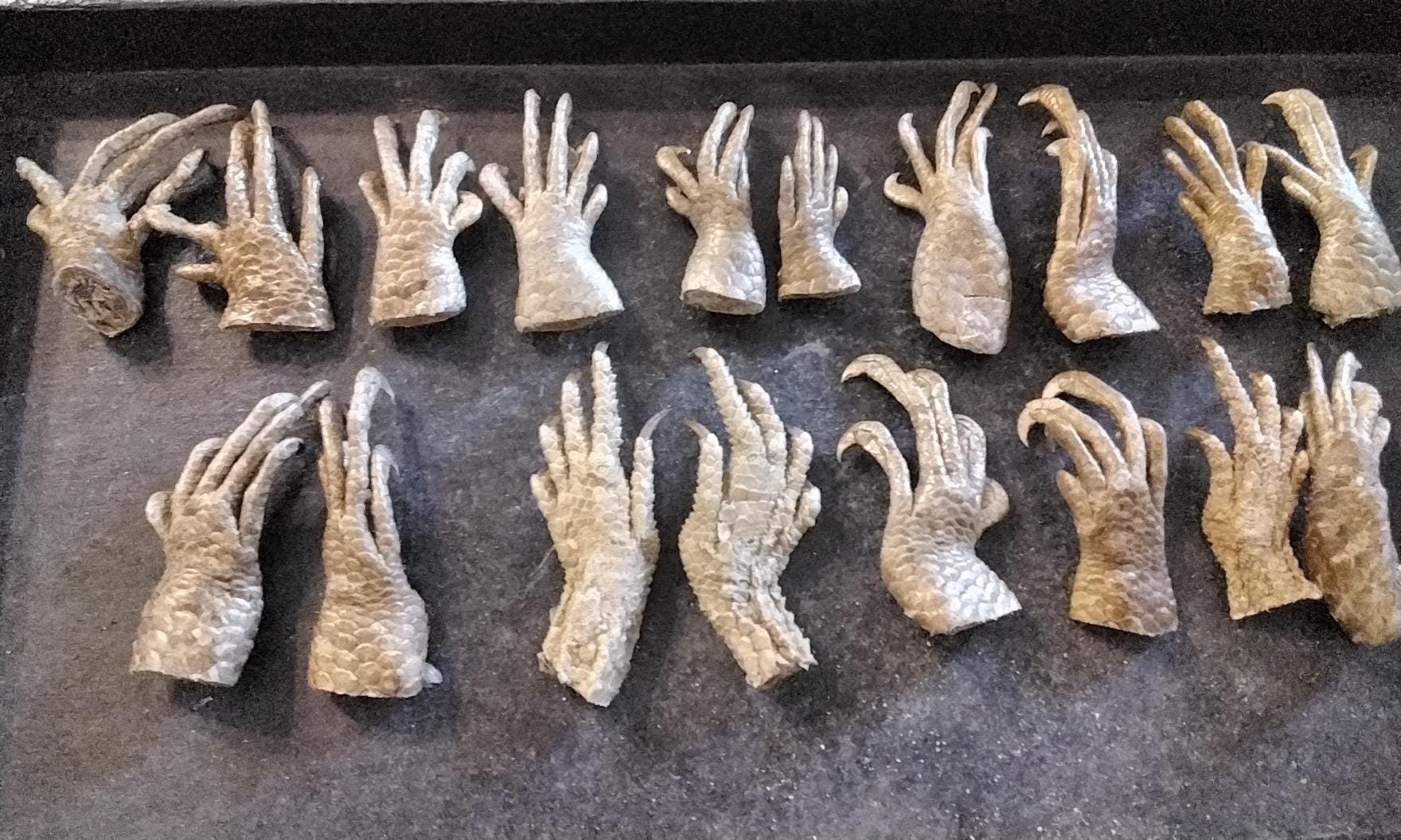 Lizard Foot for 2 - Etsy