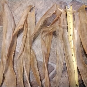 Deer Back Strap Sinew for 1 Natural Organic From Mn. USA 18