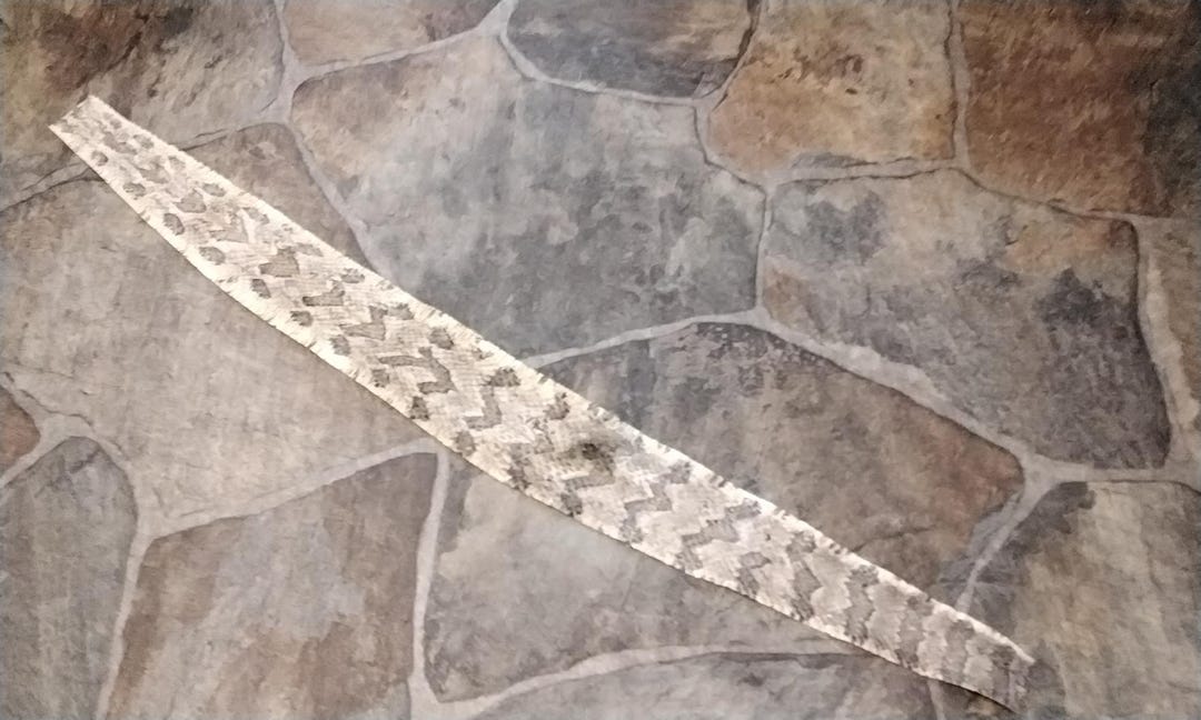 Rattlesnake Skin Canebreak Timber Rattlesnake Skin About 27 X 2 1/2 in ...