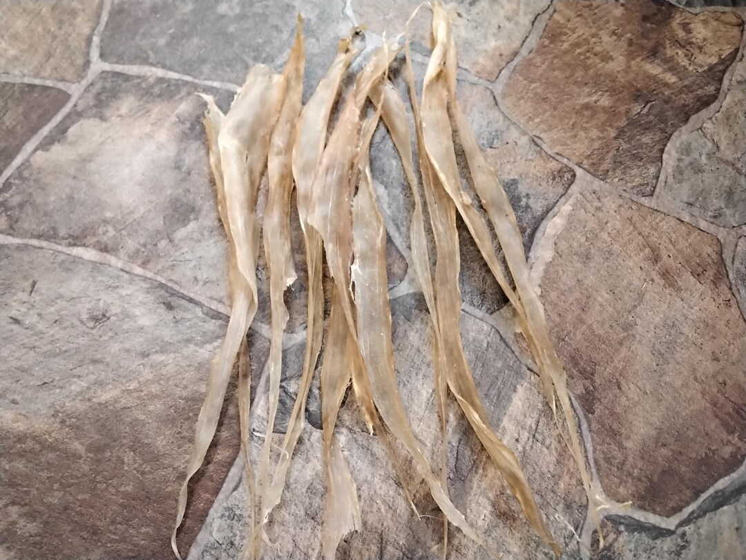 Deer Back Strap Sinew for 1 Natural Organic From Mn. USA - Etsy