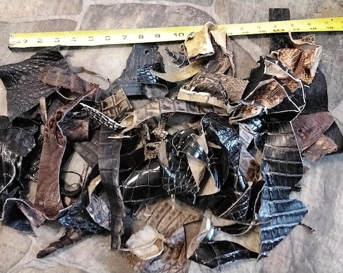Alligator Hide Piece's for 1 Full Gallon Bag Black and Brown Color - Etsy