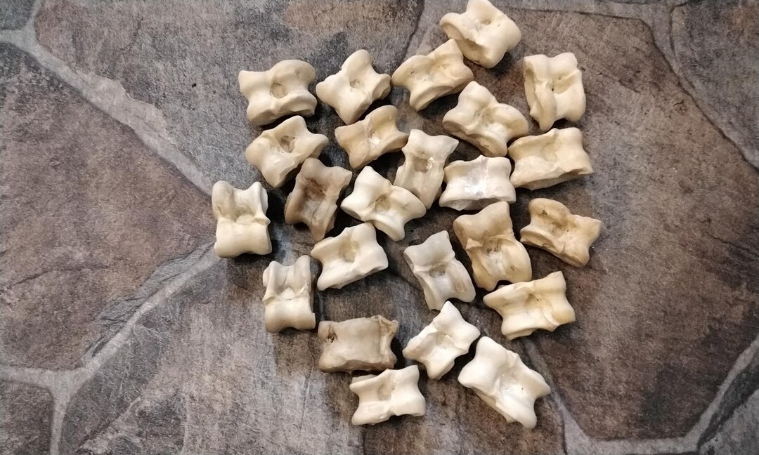 Deer Leg Joint Bone for 2 Viking Bone Rolling Dice Primitive Greek ...