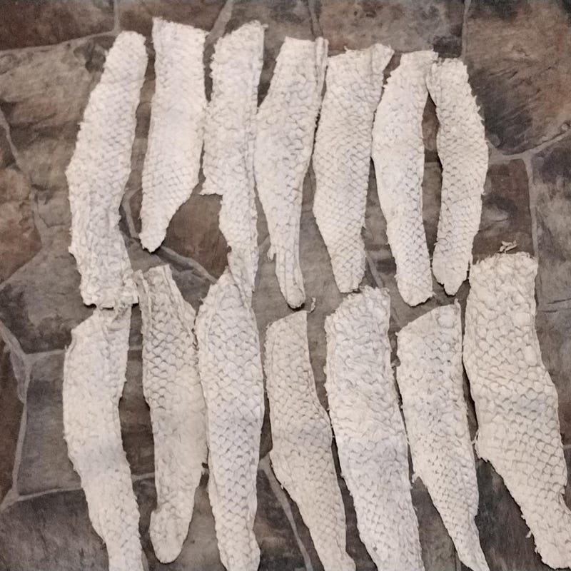 Fish Skin Leather - Etsy