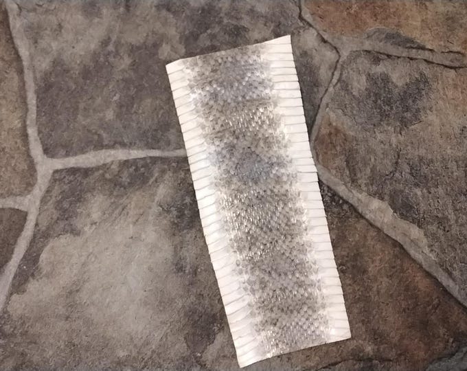 Diamondback Rattlesnake Skin Piece About 9 1/8 X 3 7/8 Down to 3 - Etsy
