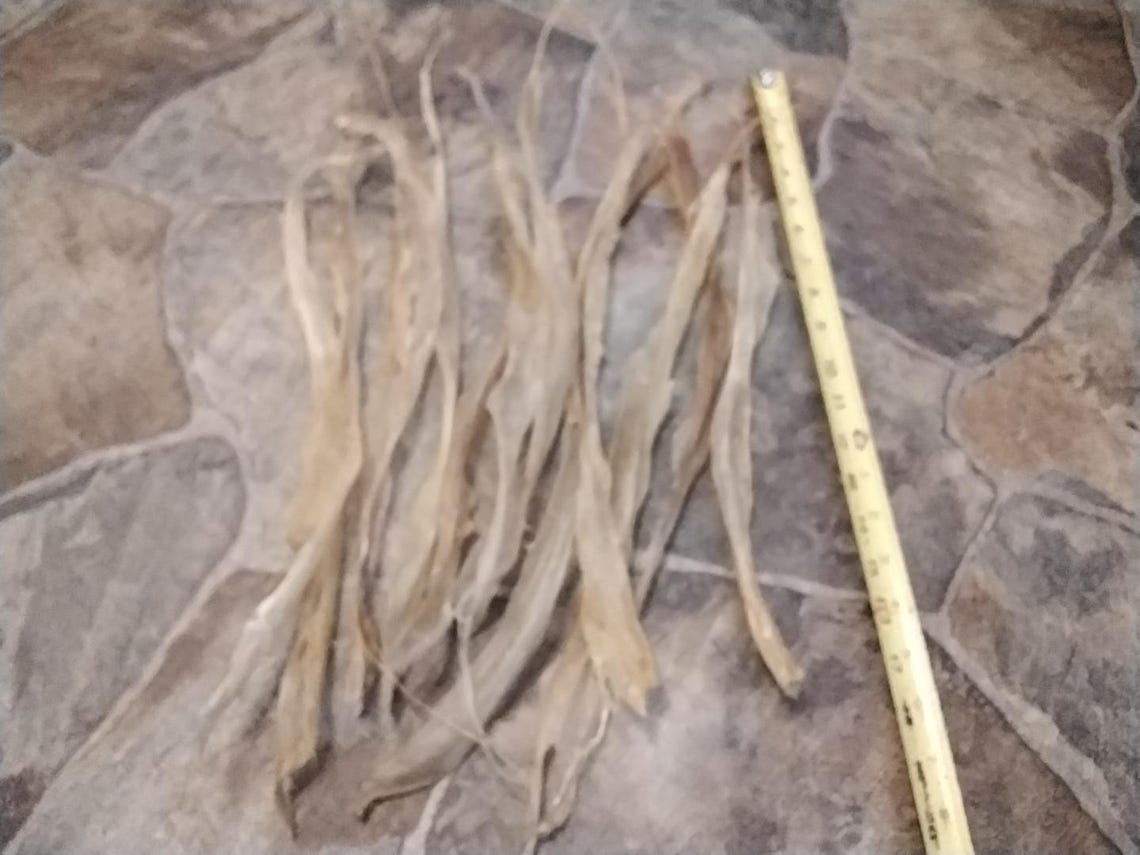 Deer Back Strap Sinew for 1 Natural Organic From Mn. USA About 17 - 19 ...