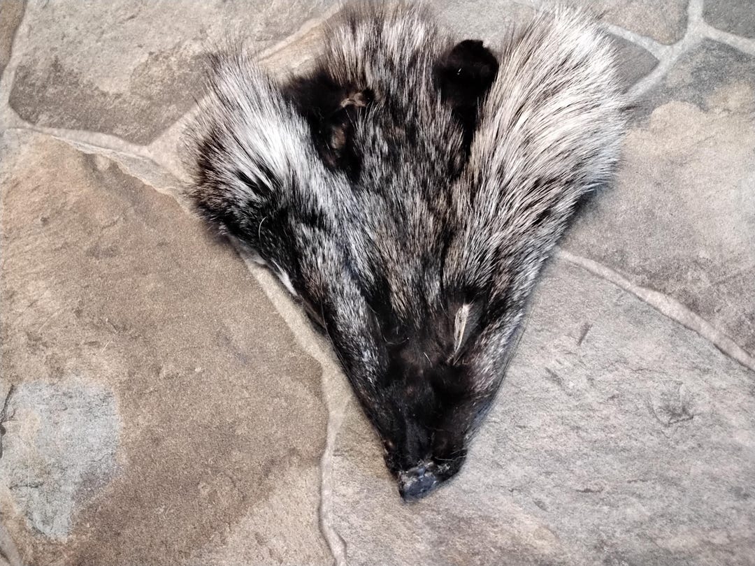 Silver Fox Fur Face Jumbo About 8" X 8" - Etsy
