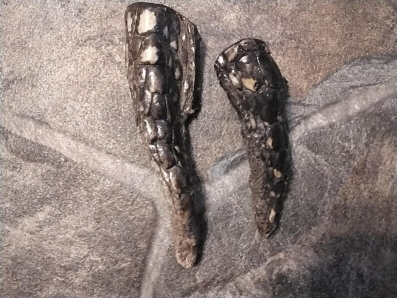 Alligator Toe for 2 About 2 1/2 " - 3 1/4" Long - Etsy