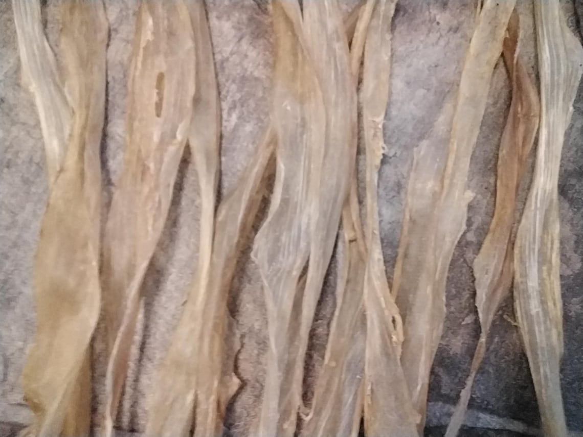 Deer Back Strap Sinew for 1 Natural Organic From Mn. USA About 17 - 19 ...