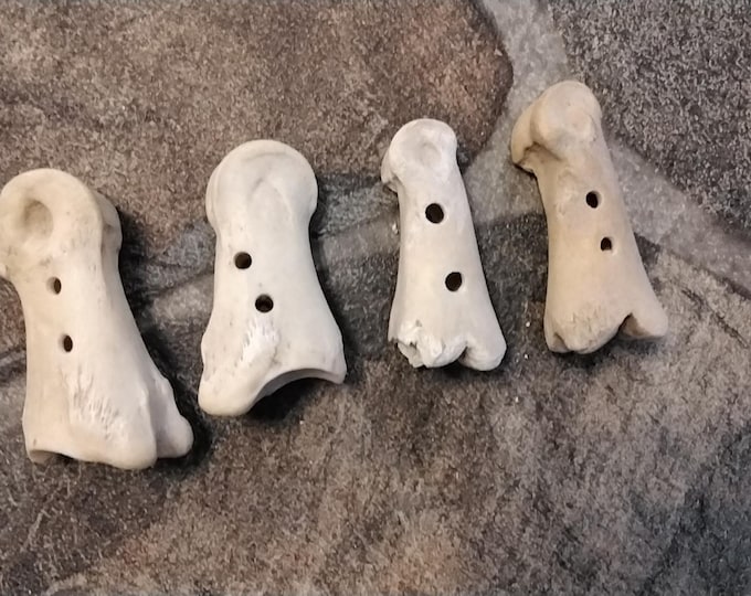 Deer Toe Bone Buttons Drilled for 4 - Etsy