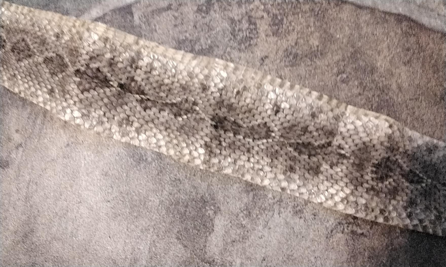 Diamondback Rattlesnake Skin Baby Diamonback About 23 1/2" X 2 1/8" # ...