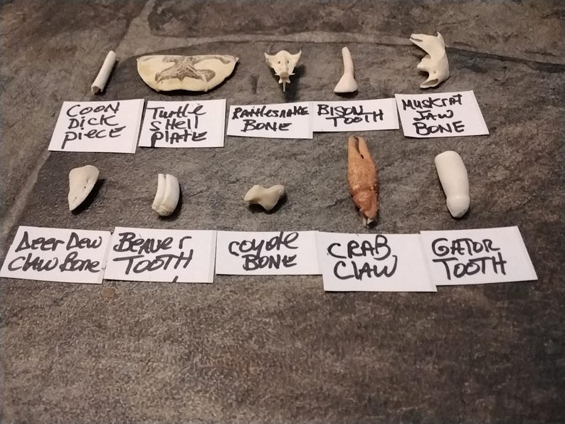 Throwing Dem Bones Osteomancy Bone Set - Etsy