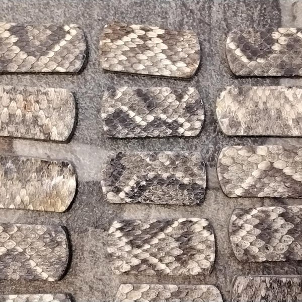 Snakeskin - Etsy