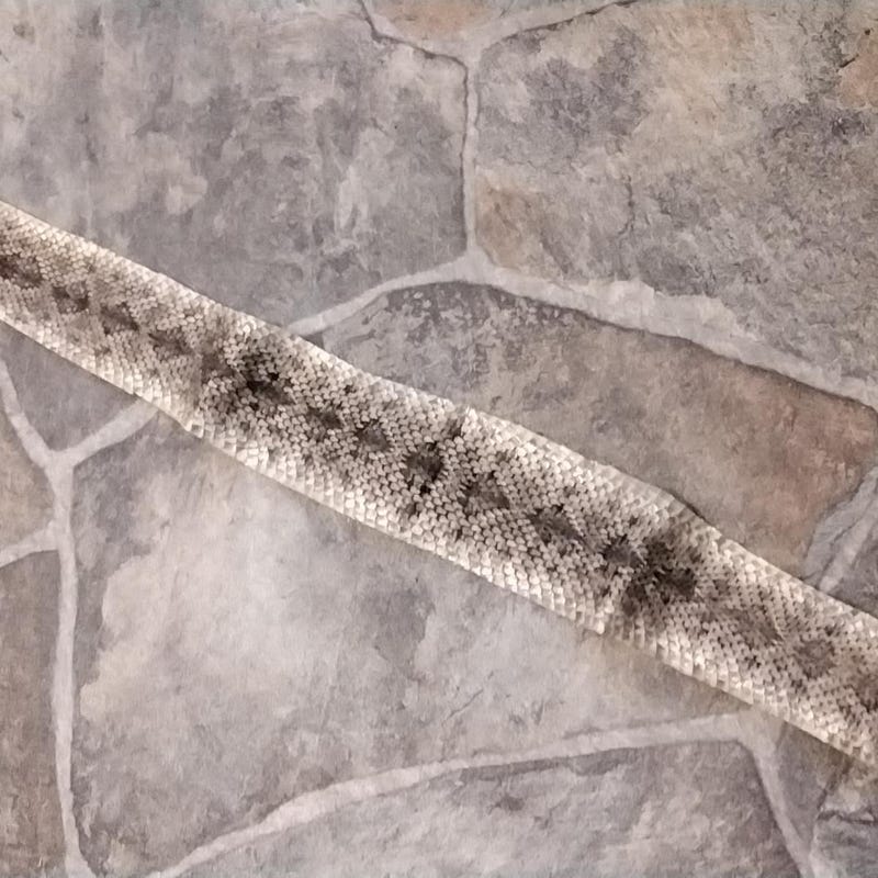 Rattlesnake Skin - Etsy