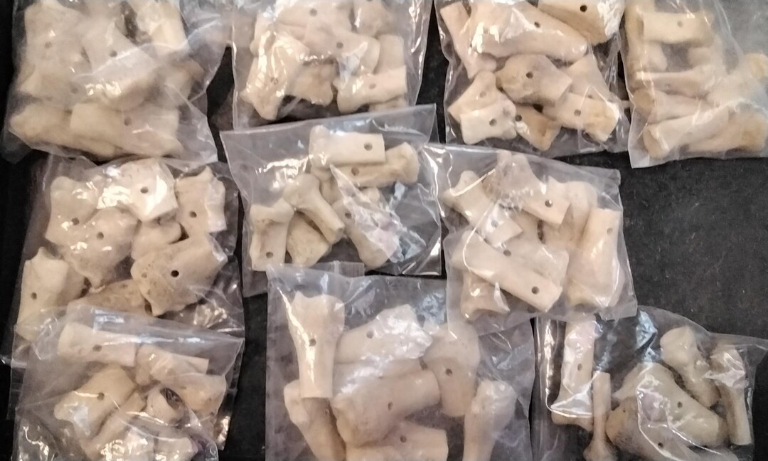 Coyote Leg Bone Bead for 8 End of the Leg Bone Beads From Mn. USA #1B ...