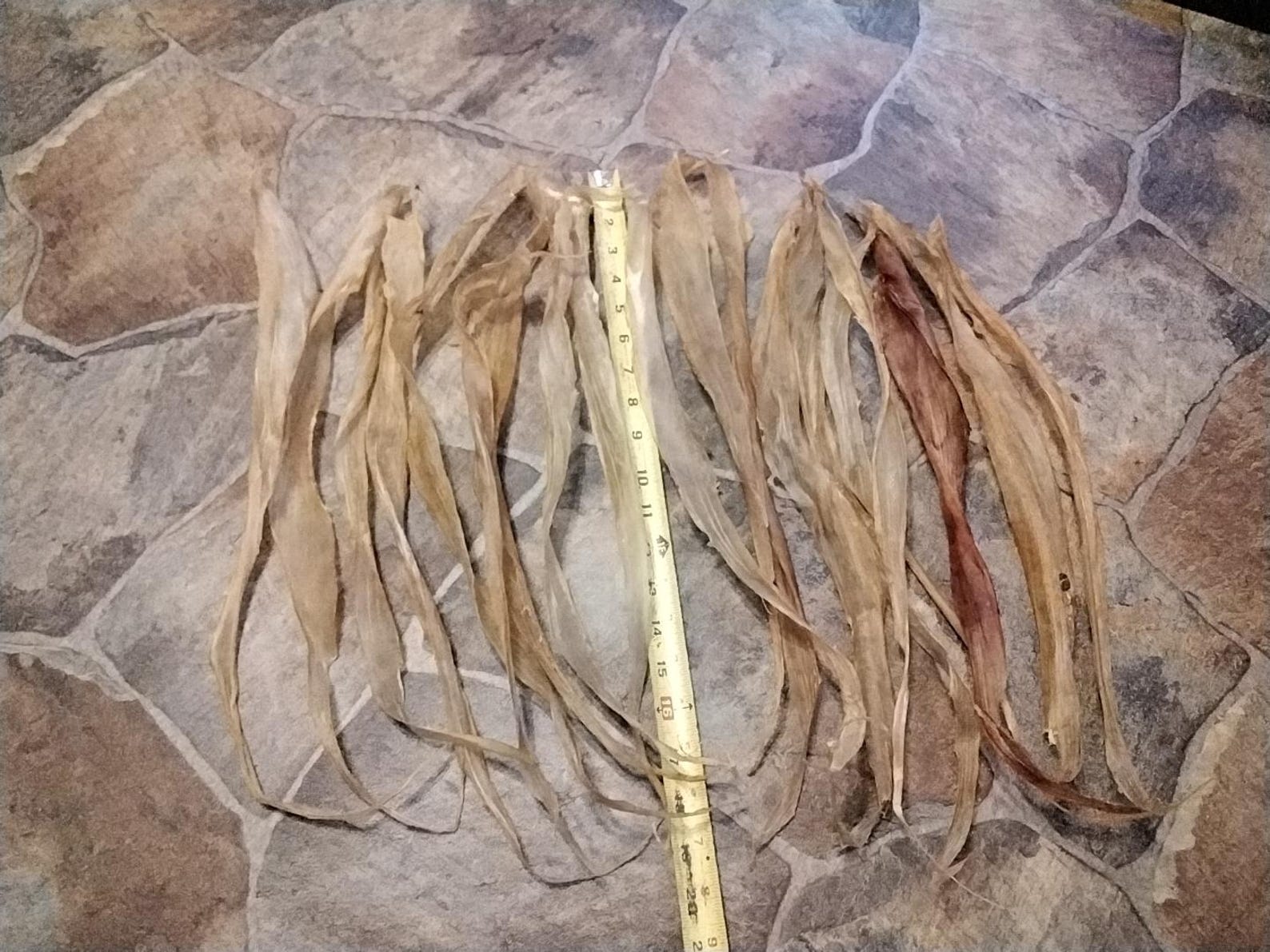 Deer Back Strap Sinew for 1 Natural Organic From Mn. USA 18" - 20" Long ...
