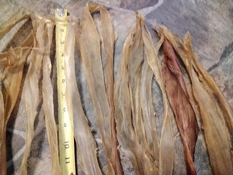 Deer Back Strap Sinew for 1 Natural Organic From Mn. USA 18" - 20" Long ...