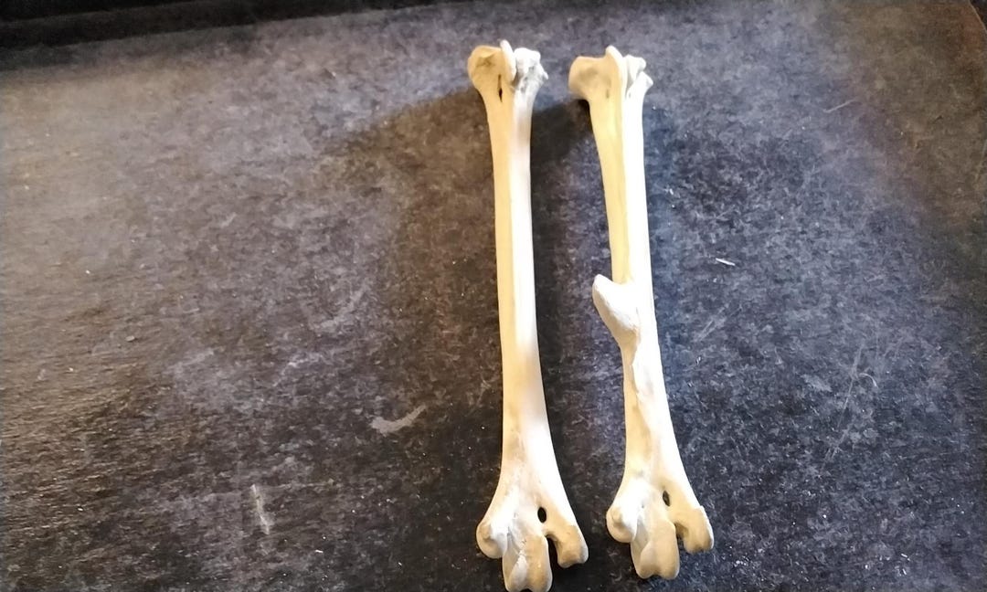 Pheasant Leg Bones for 2 #R&H - Etsy