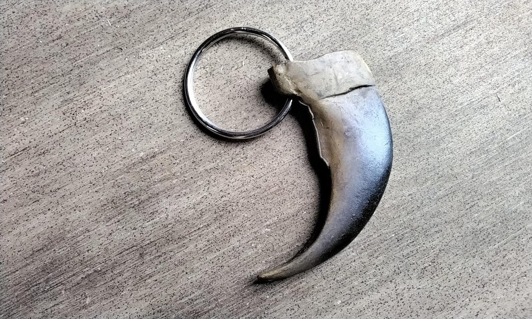 Grizzly Bear Claw Keychain Bone Resin Replica - Etsy