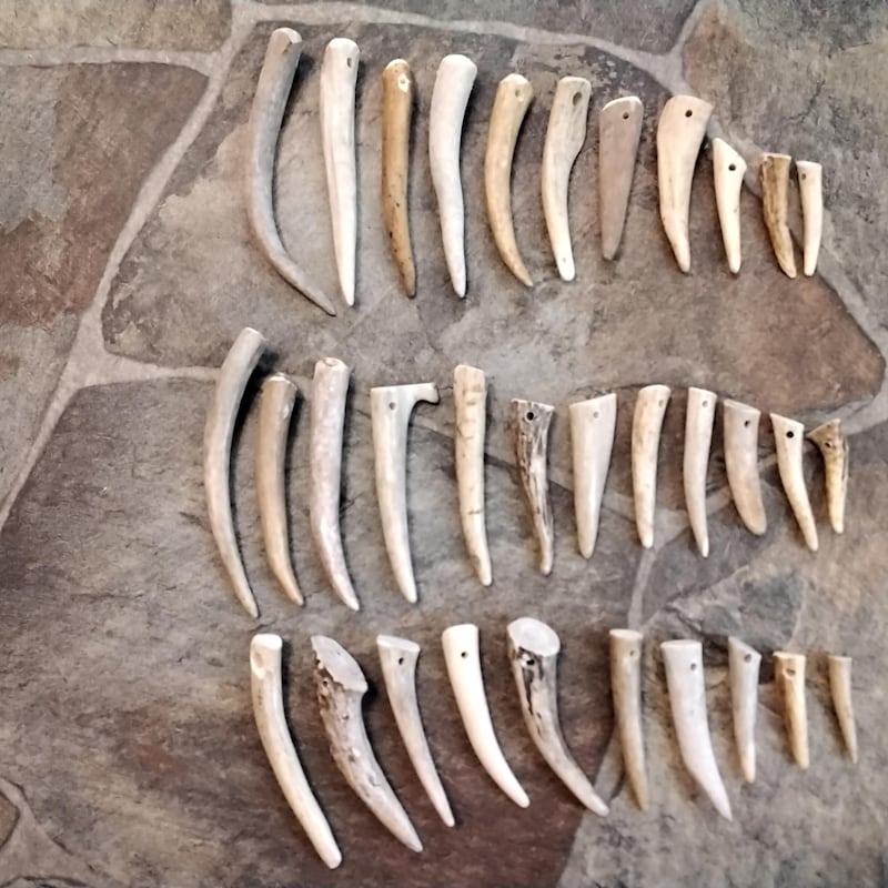 Deer Antler Tips - Etsy