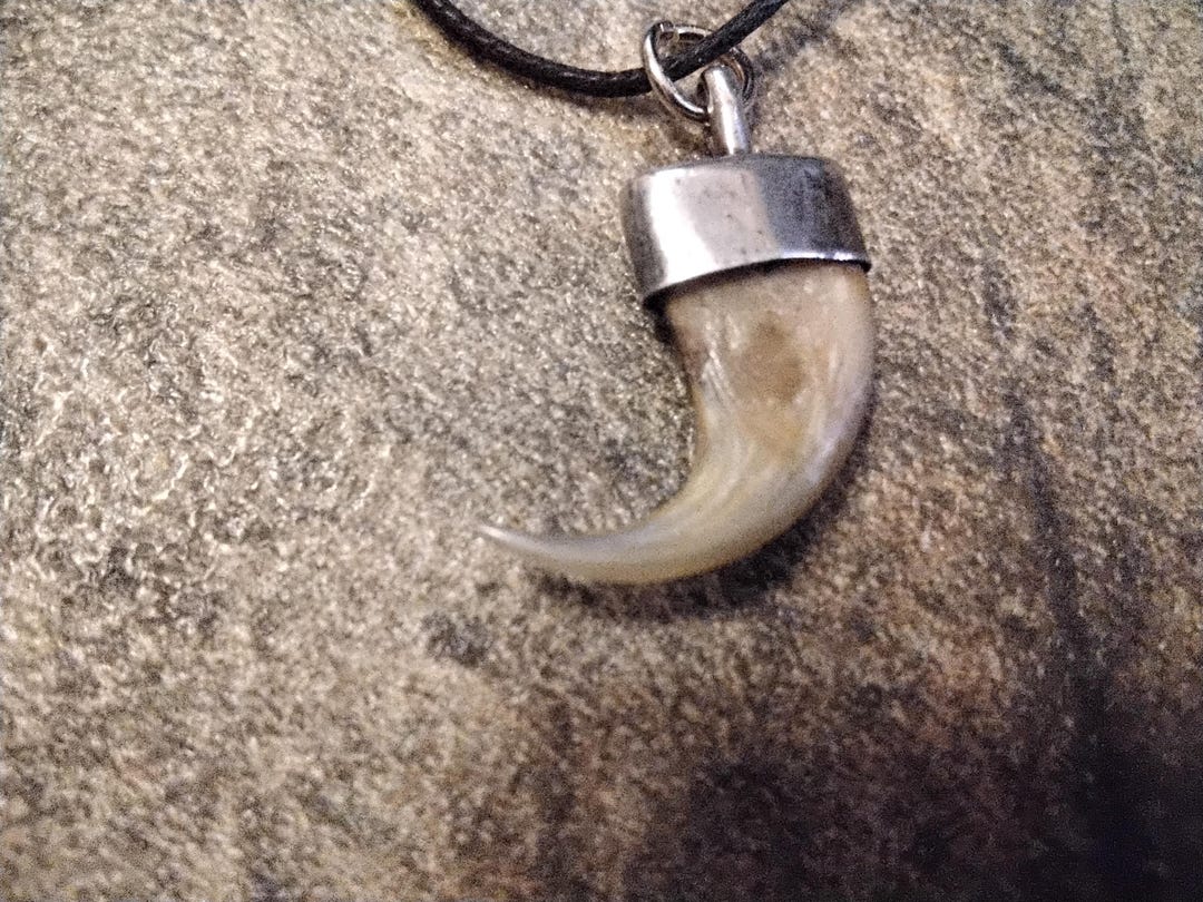 Bobcat Claw Necklace Sterling Silver Capped - Etsy