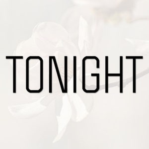 Holican Font, Serif Font, Modern Font, Display Font, Calligraphy Font ...