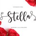 Stella Font, Font With Tails, Swirly Font, Handwritten Font, Branding ...