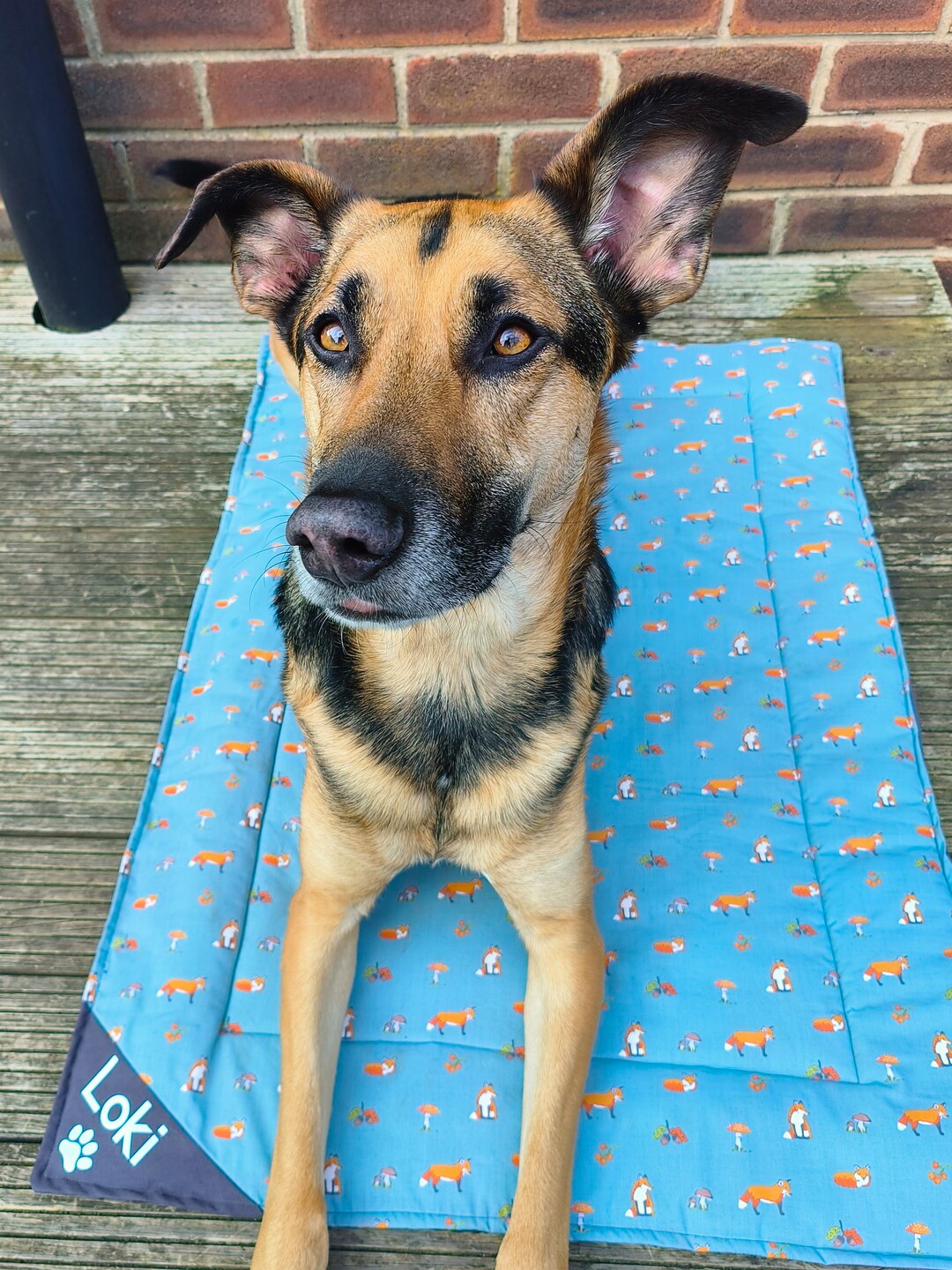 Dog Settle Mat, Dog Bed, Dog Mat, Personalised Dog Bed, Settled Mat, Dog Training Mat - Etsy UK