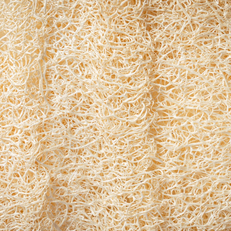 Loofahcrafts Peeling Body Pad Round Natural Egyptian Luffa Pad Sponge ...