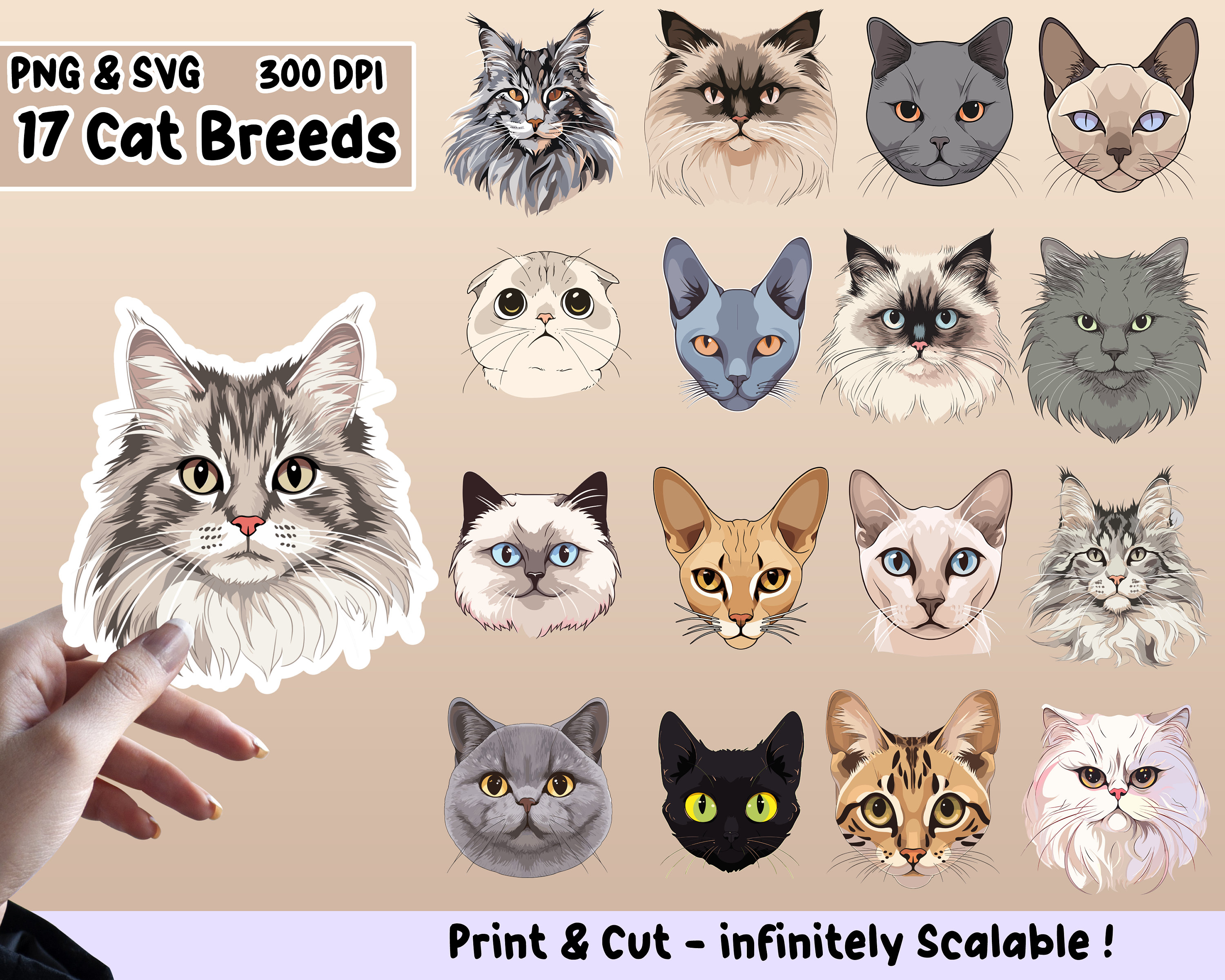 Cat Breeds Sticker PNG Pack, Cat Breeds Sticker Set, Cat Breeds PNG ...