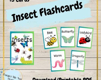 Printable Kids Insect Flashcards, Spanish - Etsy