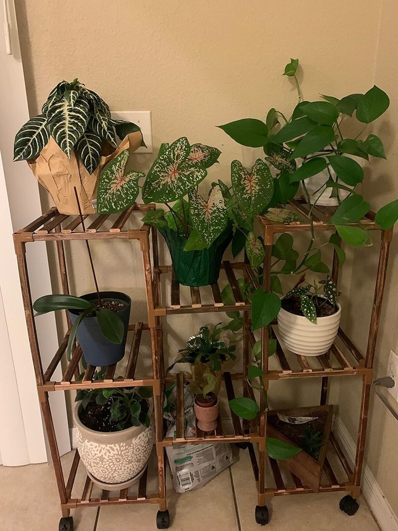 Wooden Stands Hold Multiple Plants Plant Stand on Wheels Tier Plant ...