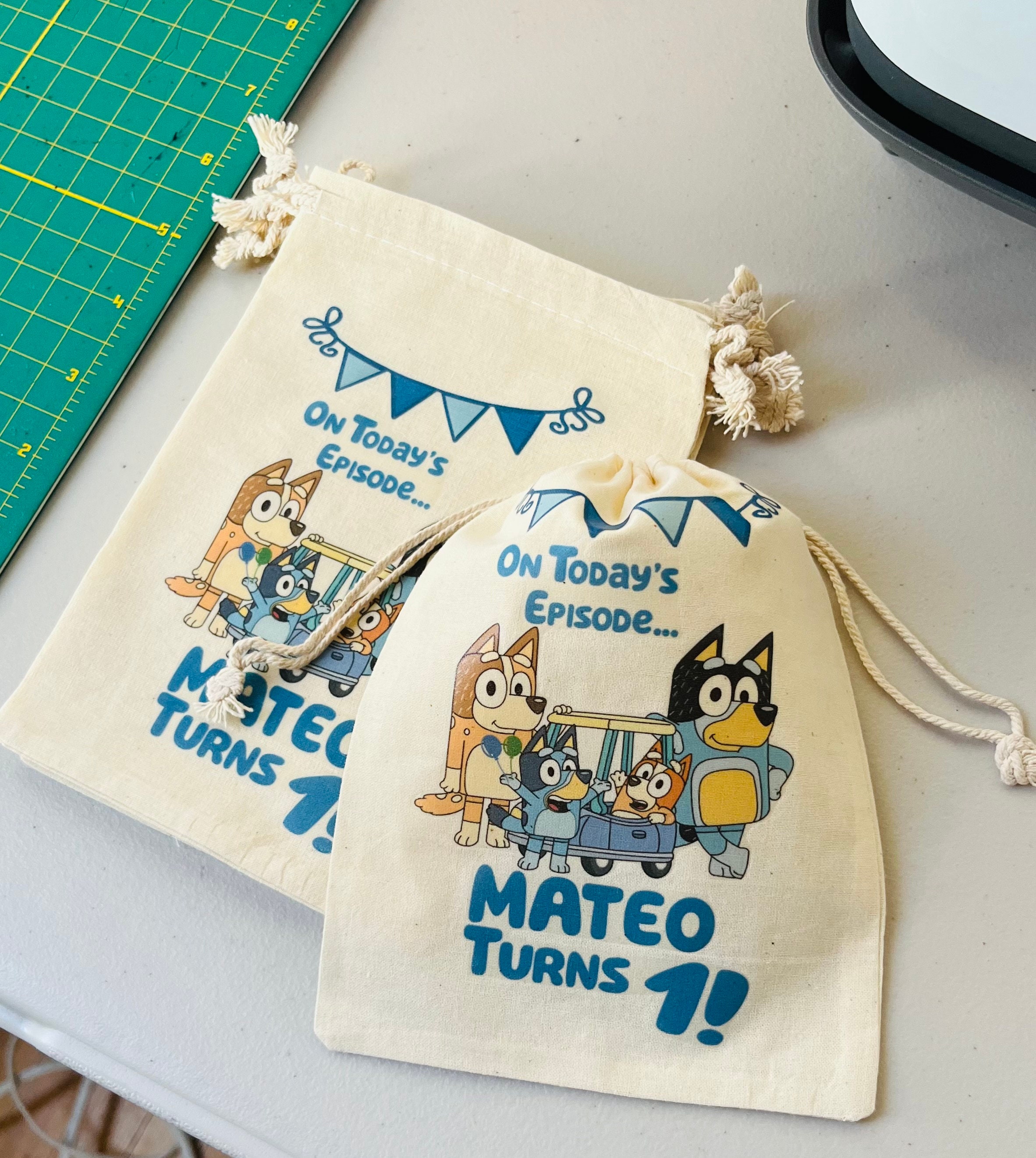 Bluey Birthday Favors Bluey Goodies Bags Bluey Party Favors Bluey Party ...