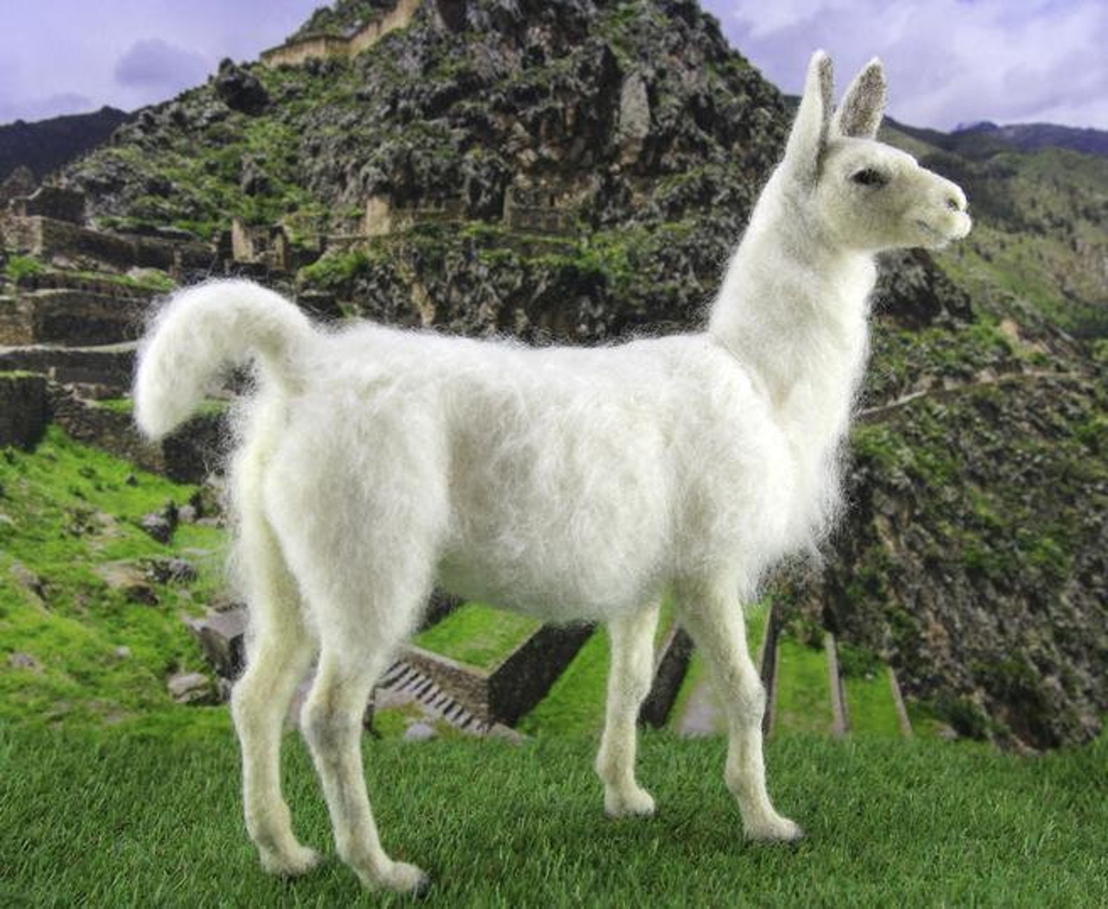 Lennon the Llama easy Alpaca Mod Needle Felting Kit Large - Etsy