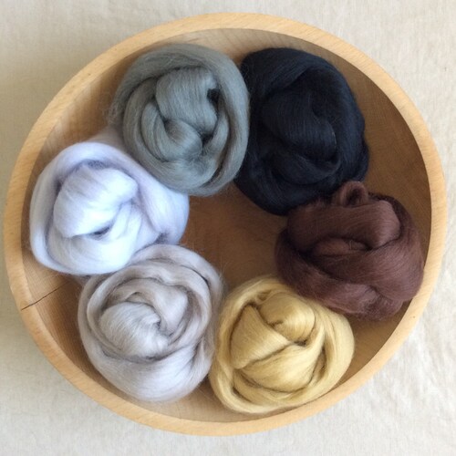 6-color Wool Sampler Animals 6 Ounces to Spin or Felt. - Etsy