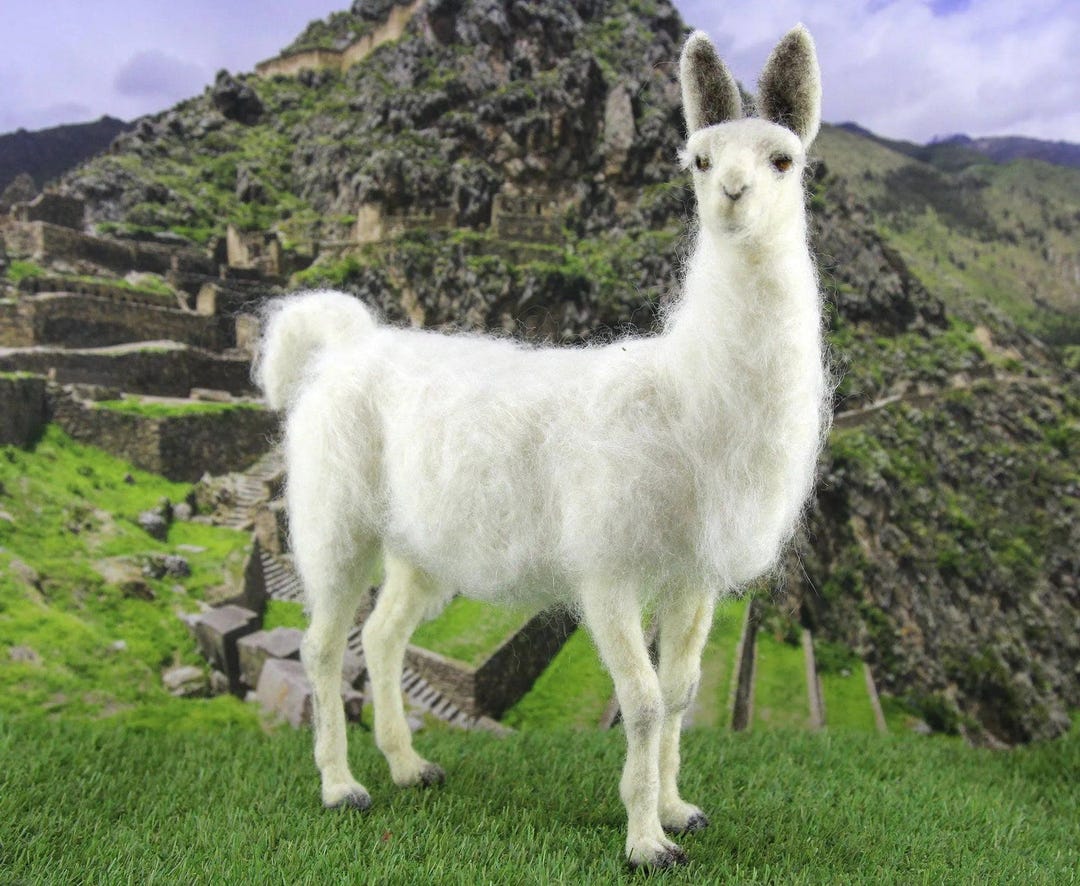 Lennon the Llama (easy Alpaca Mod) Needle Felting Kit - Large Model ...