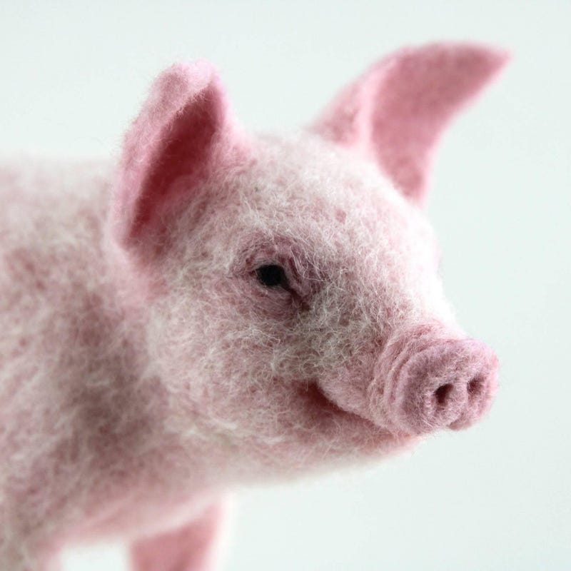Needle Felted Pig - Etsy