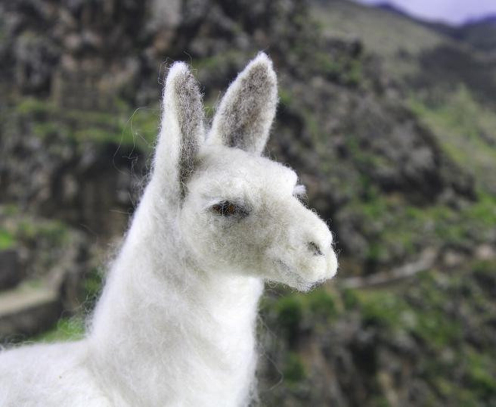 Lennon the Llama easy Alpaca Mod Needle Felting Kit Large | Etsy