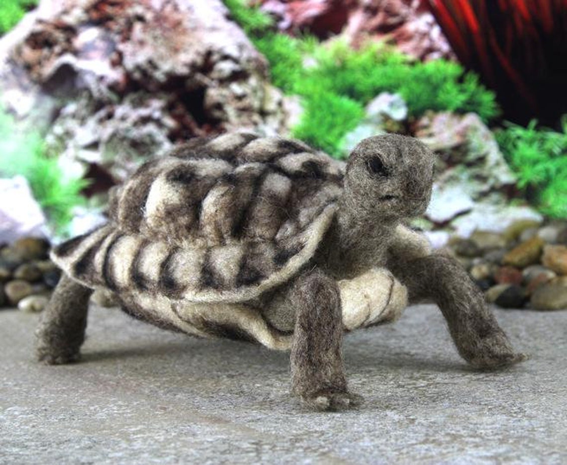 Toto the Tortoise Needle Felting Kit Large Model With | Etsy