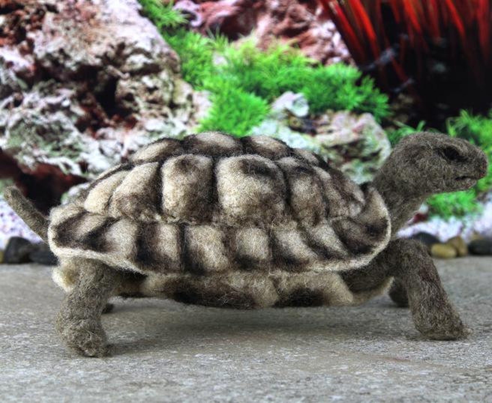 Toto the Tortoise Needle Felting Kit Large Model With | Etsy