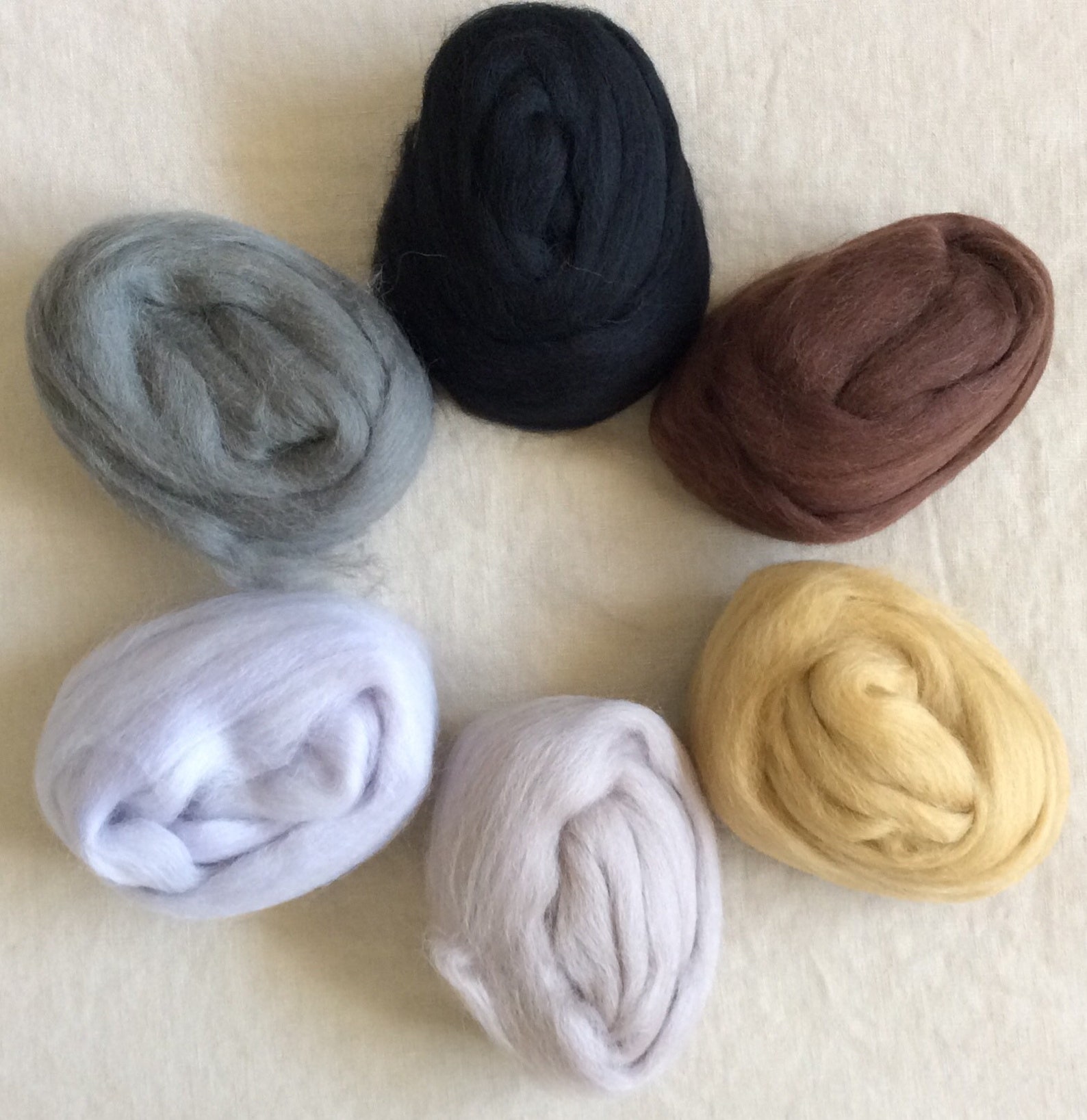 6-color Wool Sampler Animals 6 Ounces to Spin or Felt. - Etsy